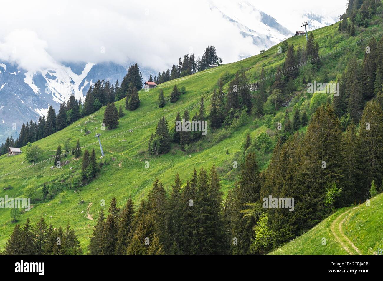 Green Swiss alps mountain valley with glaciers as background and small ...
