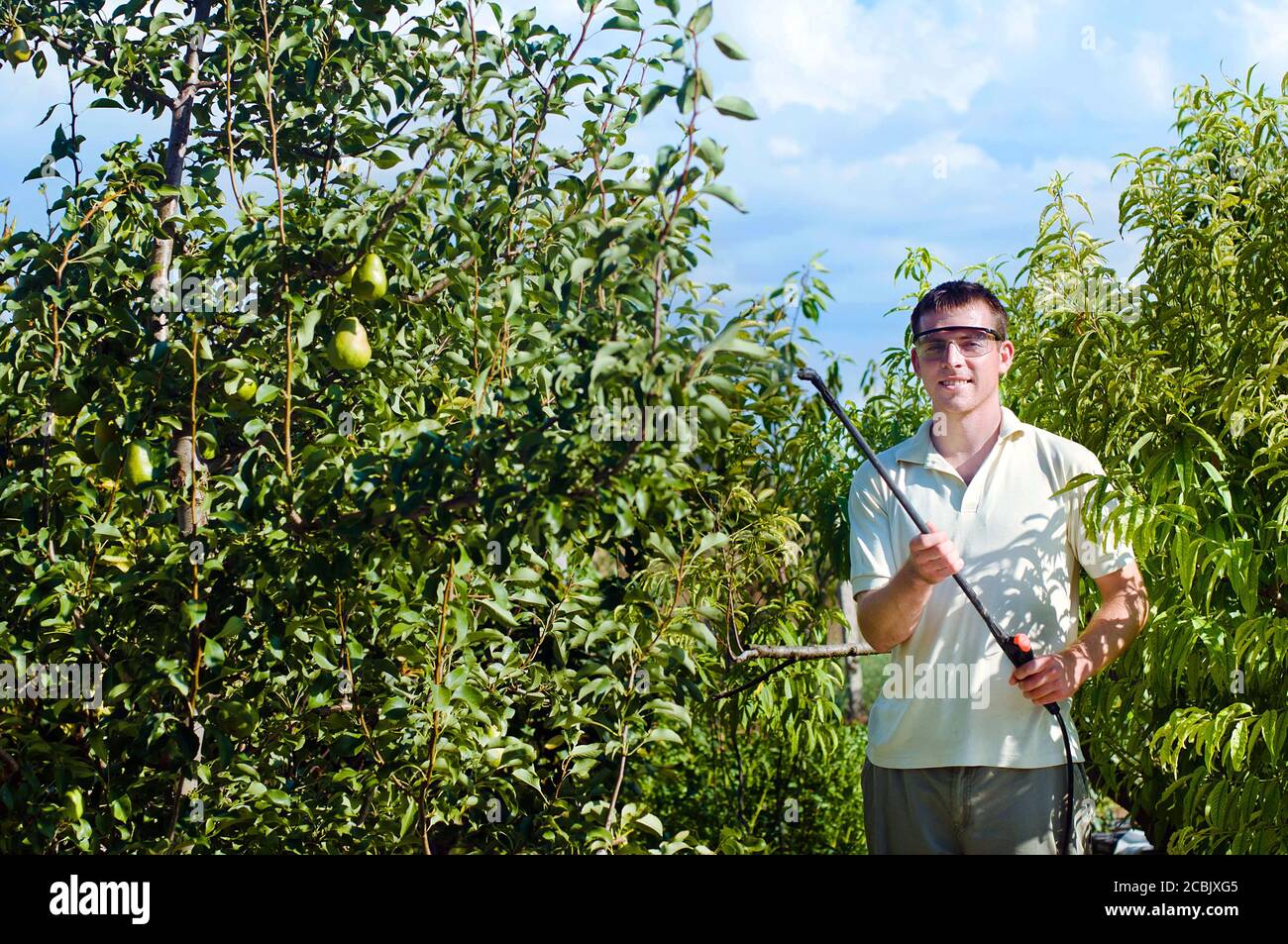 Spraying Fruit Trees High Resolution Stock Photography and Images - Alamy