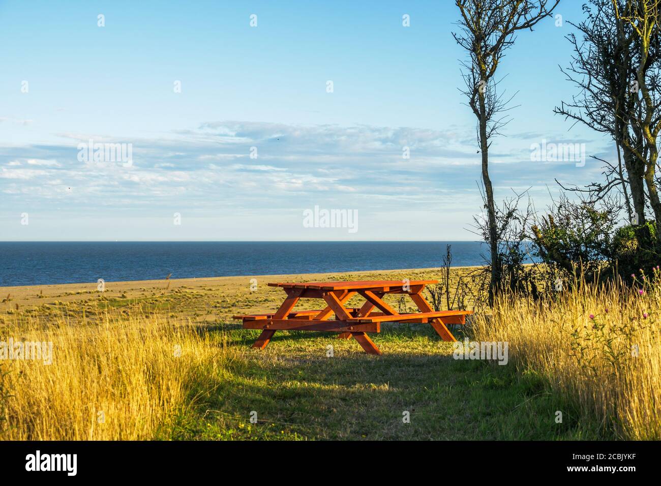 Rising water table hi-res stock photography and images - Alamy