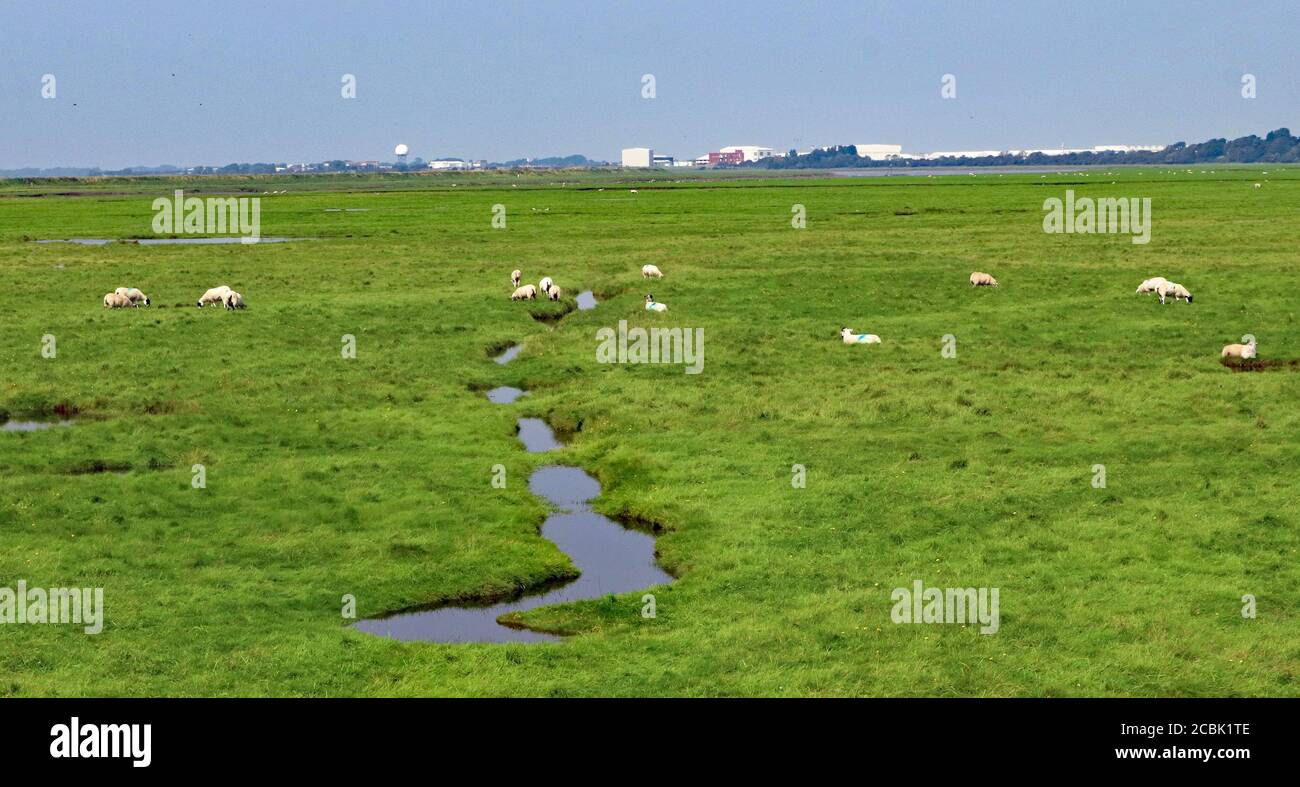 Longton marsh hi-res stock photography and images - Alamy