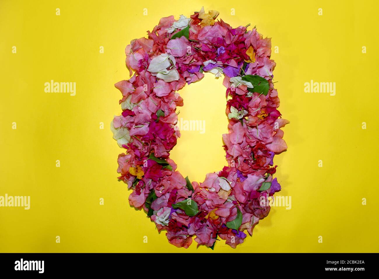 zero letter flower numeric number 0 digit, made from colorful ...