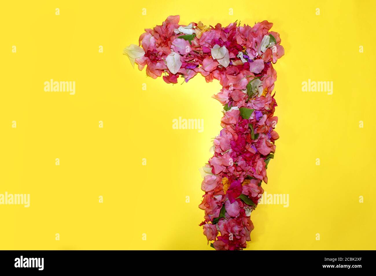 7 letter flower numeric number, 7 digit, made from colorful ...