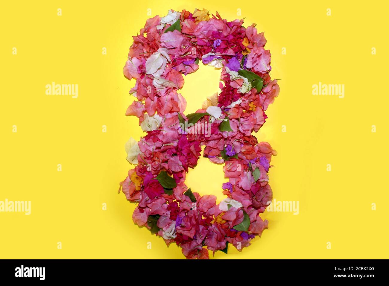eight letter flower numeric number, 8 digit, made from colorful ...