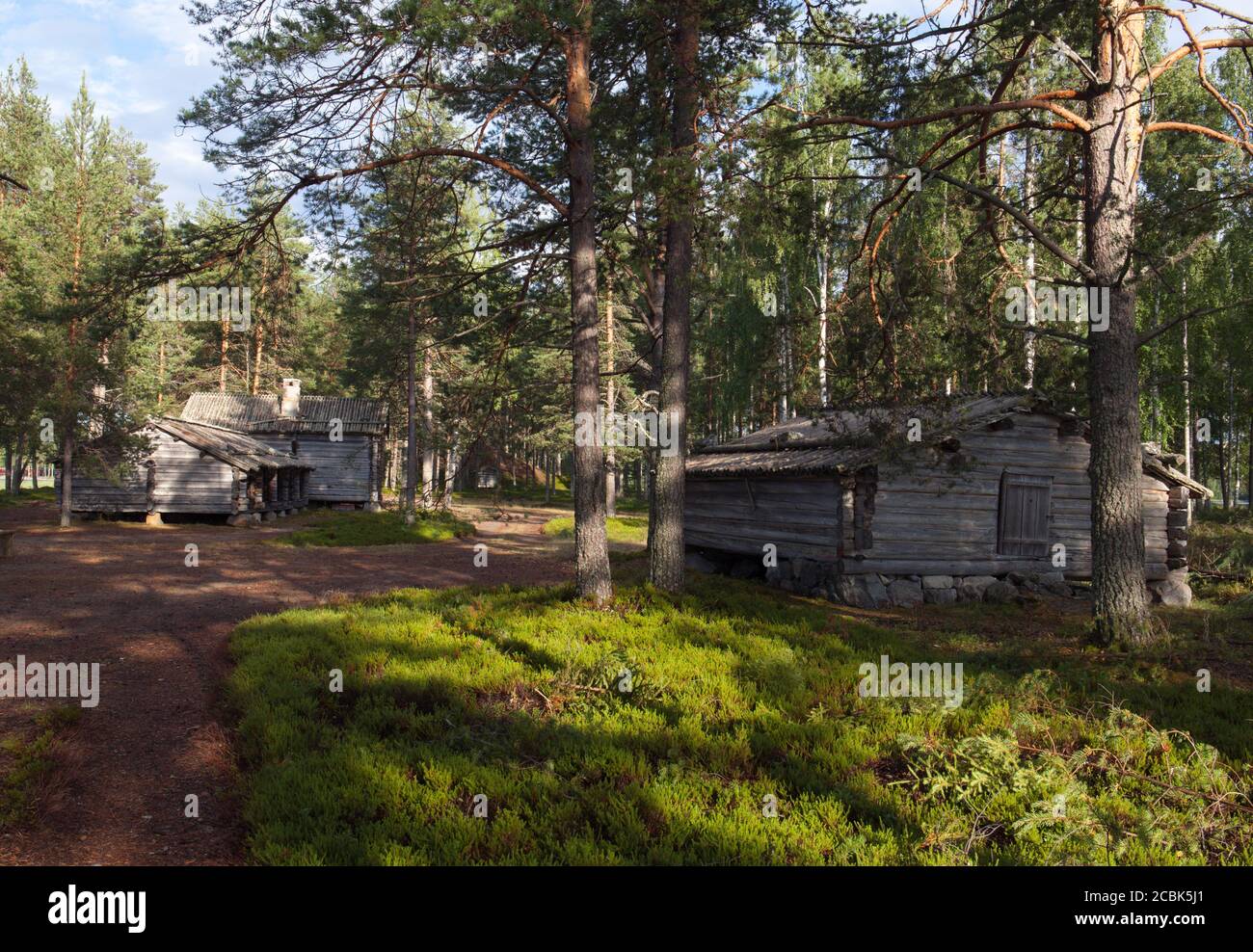 Wooden warehouses, farmhouse far out in rural country. Trees and forest ...