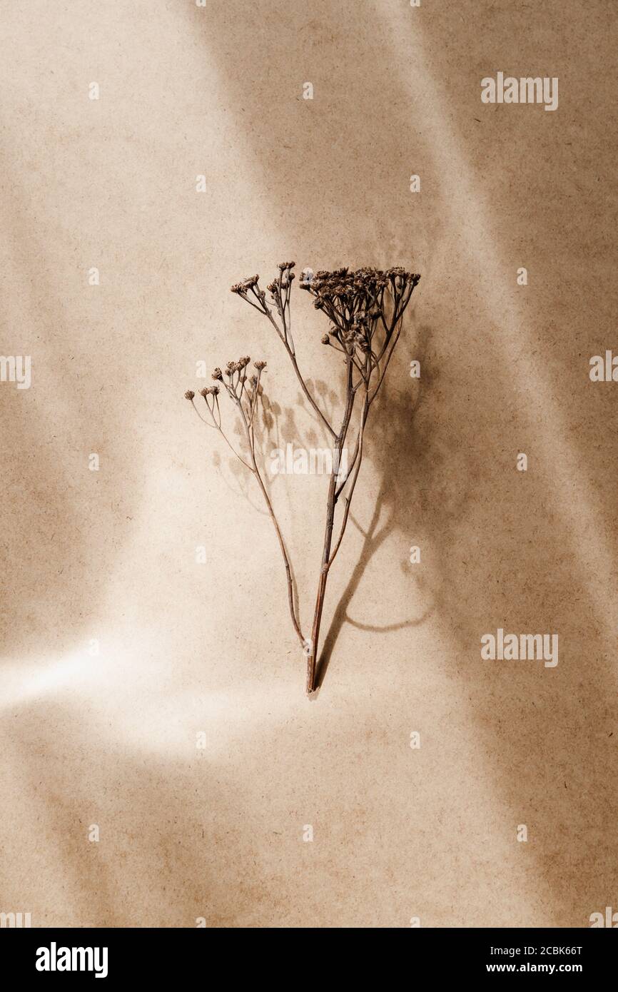 Creative terra hi-res stock photography and images - Alamy