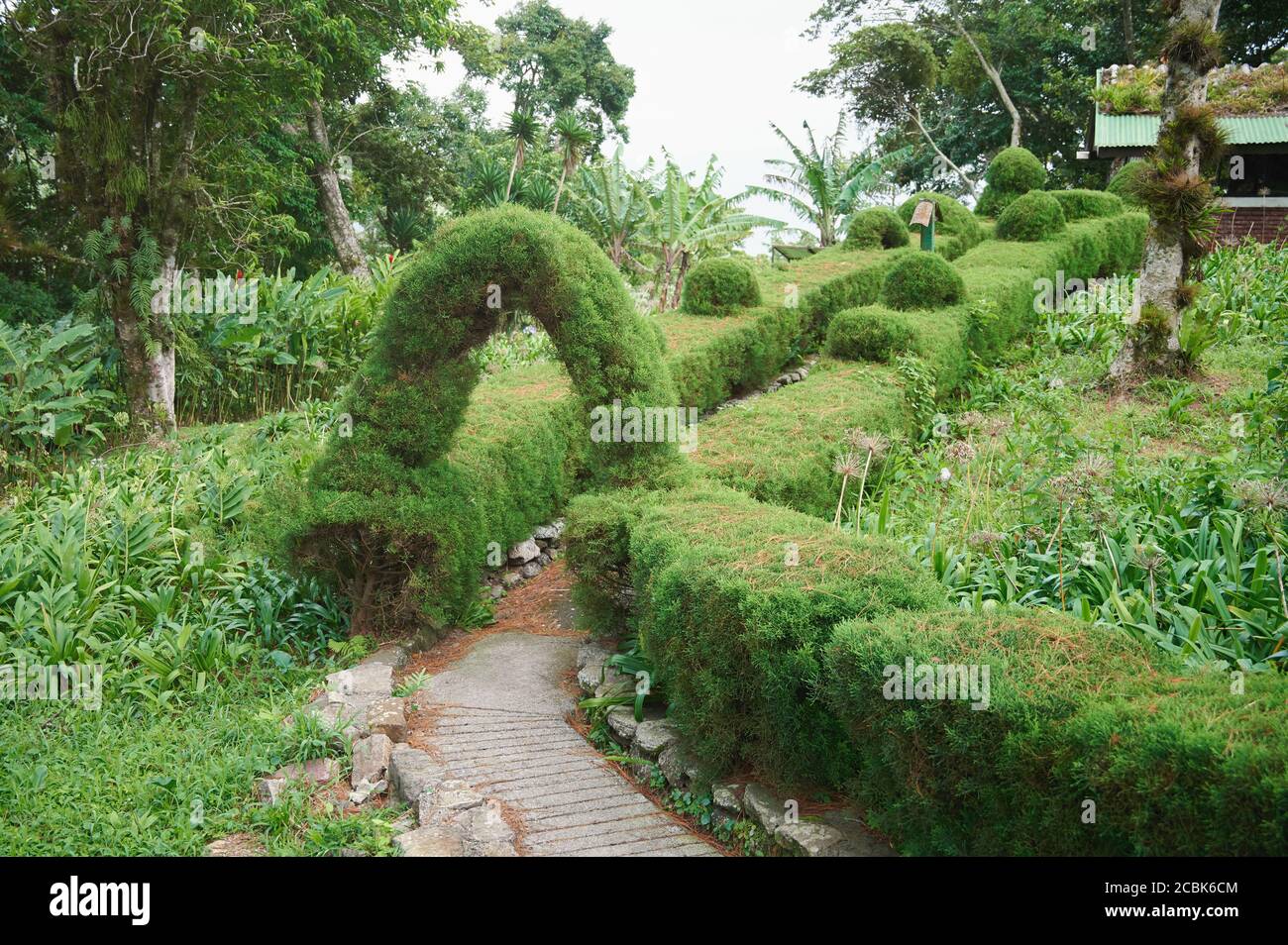 Green grass gate entrance to ecolodge house in jungle environment Stock ...