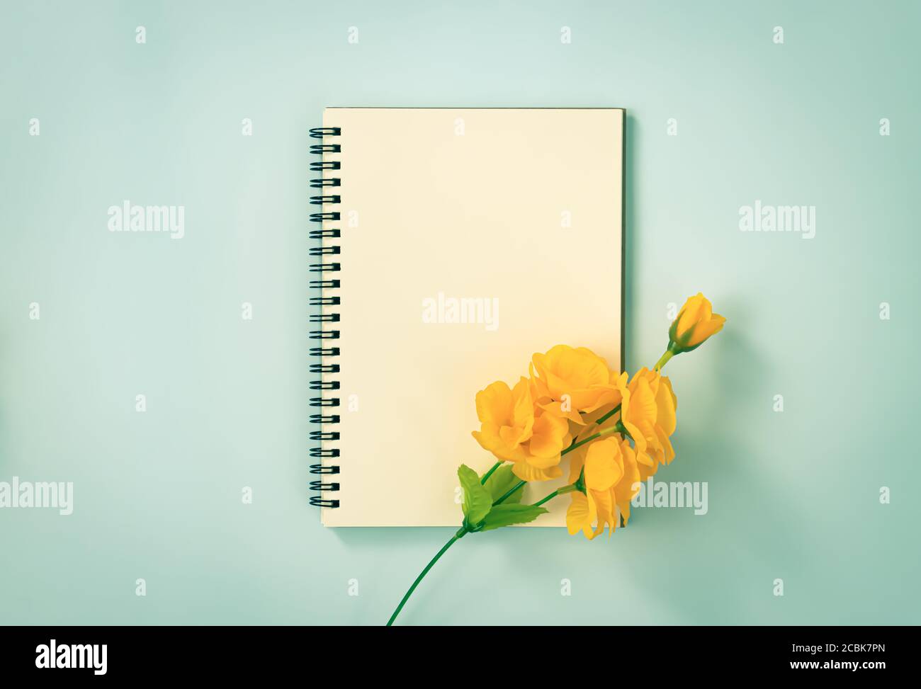 Unlined notebook hi-res stock photography and images - Alamy