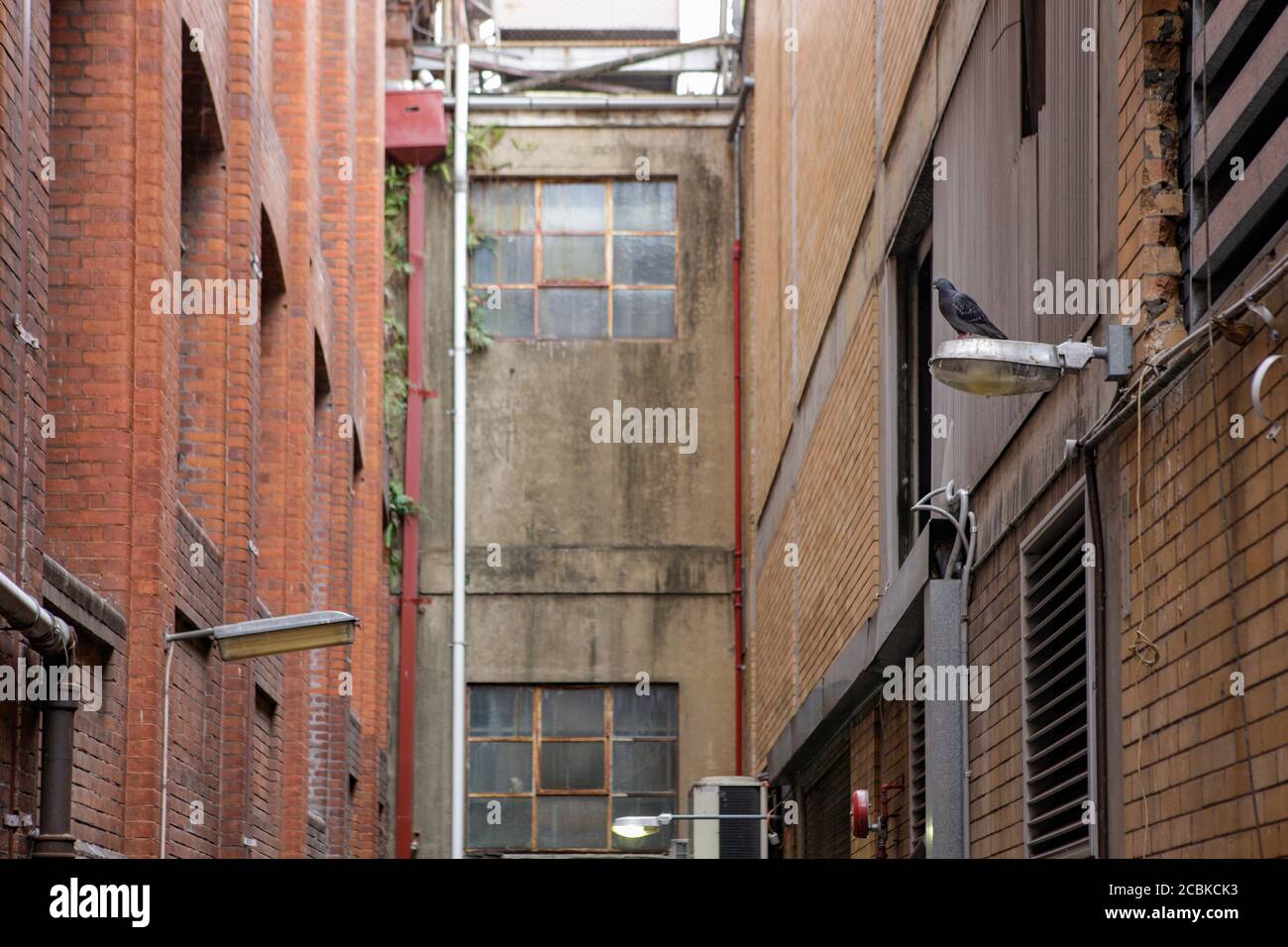 Night view of the courtyard in in Brisbane, Australia Stock Photo - Alamy