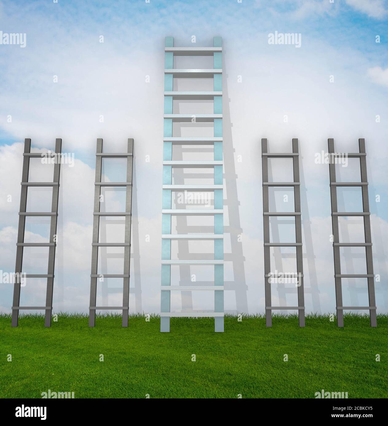 The different ladders in career progression concept Stock Photo - Alamy