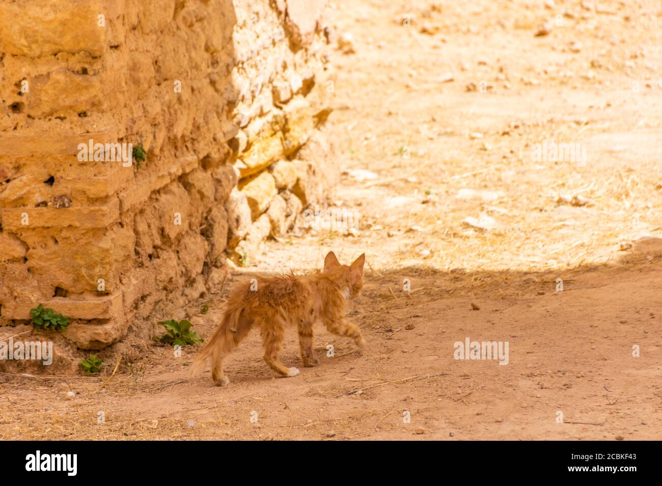 Meknes Royal Stables of the romans, Morocco Stock Photo - Alamy