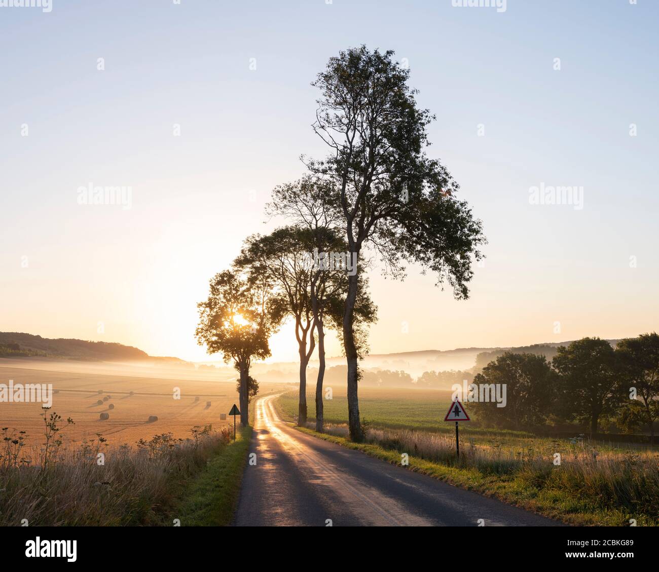 Picardie nature hi-res stock photography and images - Alamy