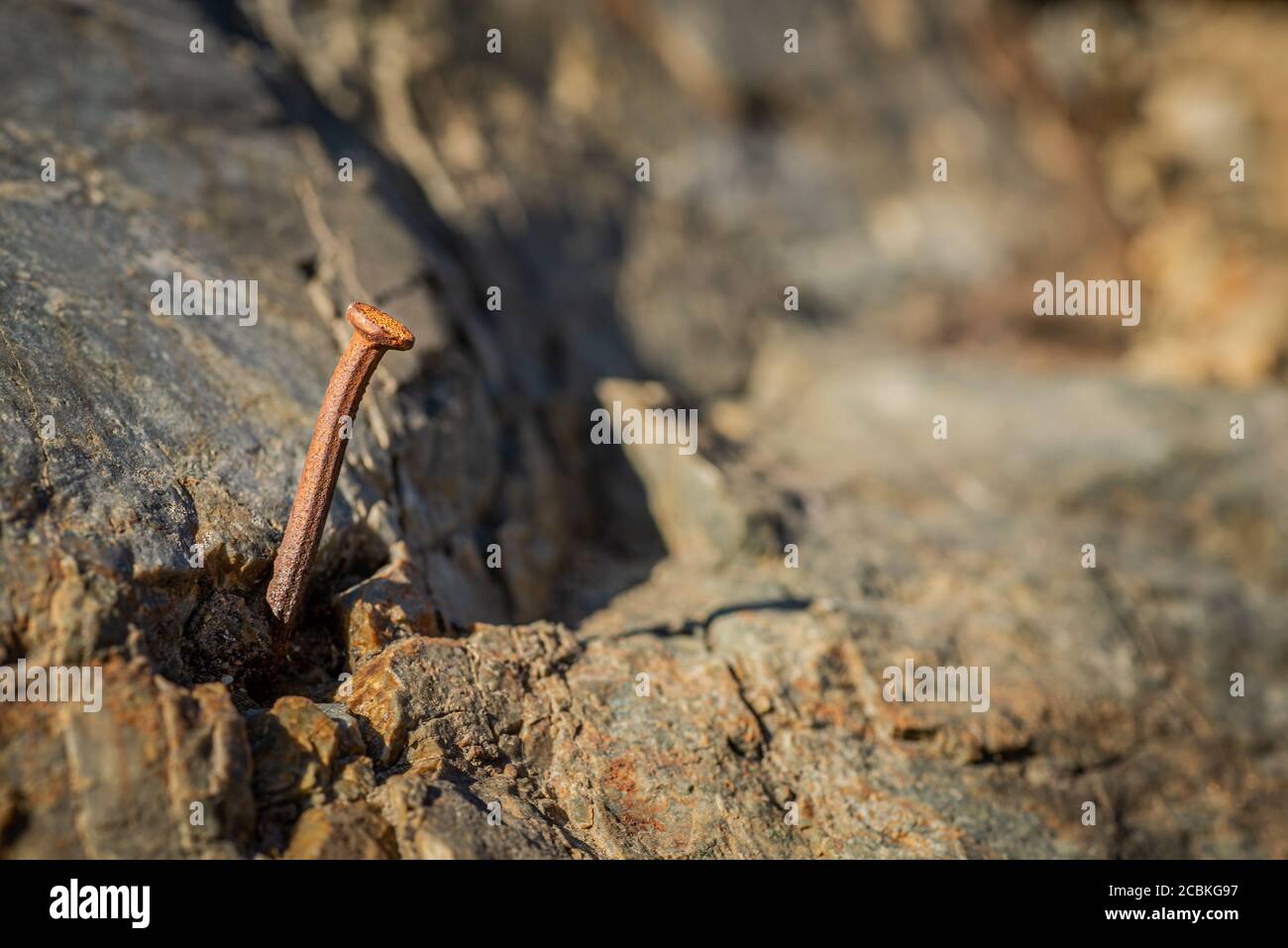 Rusty nail poking out from a rock, left over from highway construction ...