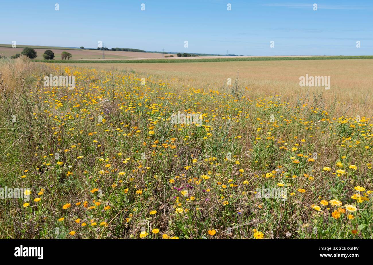 Farming seeds france hi-res stock photography and images - Alamy