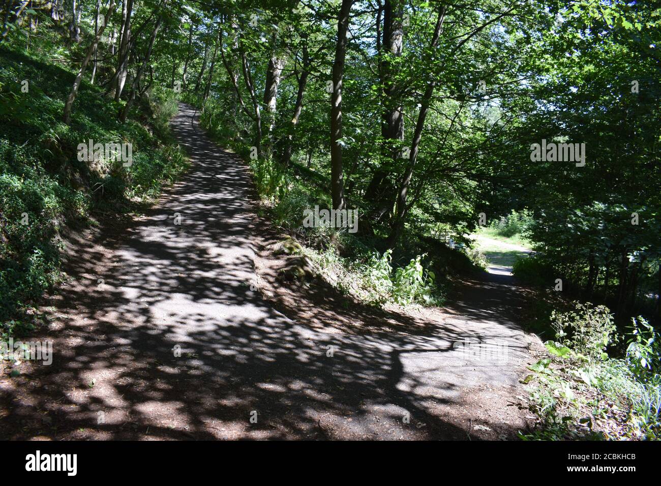 hiking trail around the Hohe Acht Stock Photo - Alamy