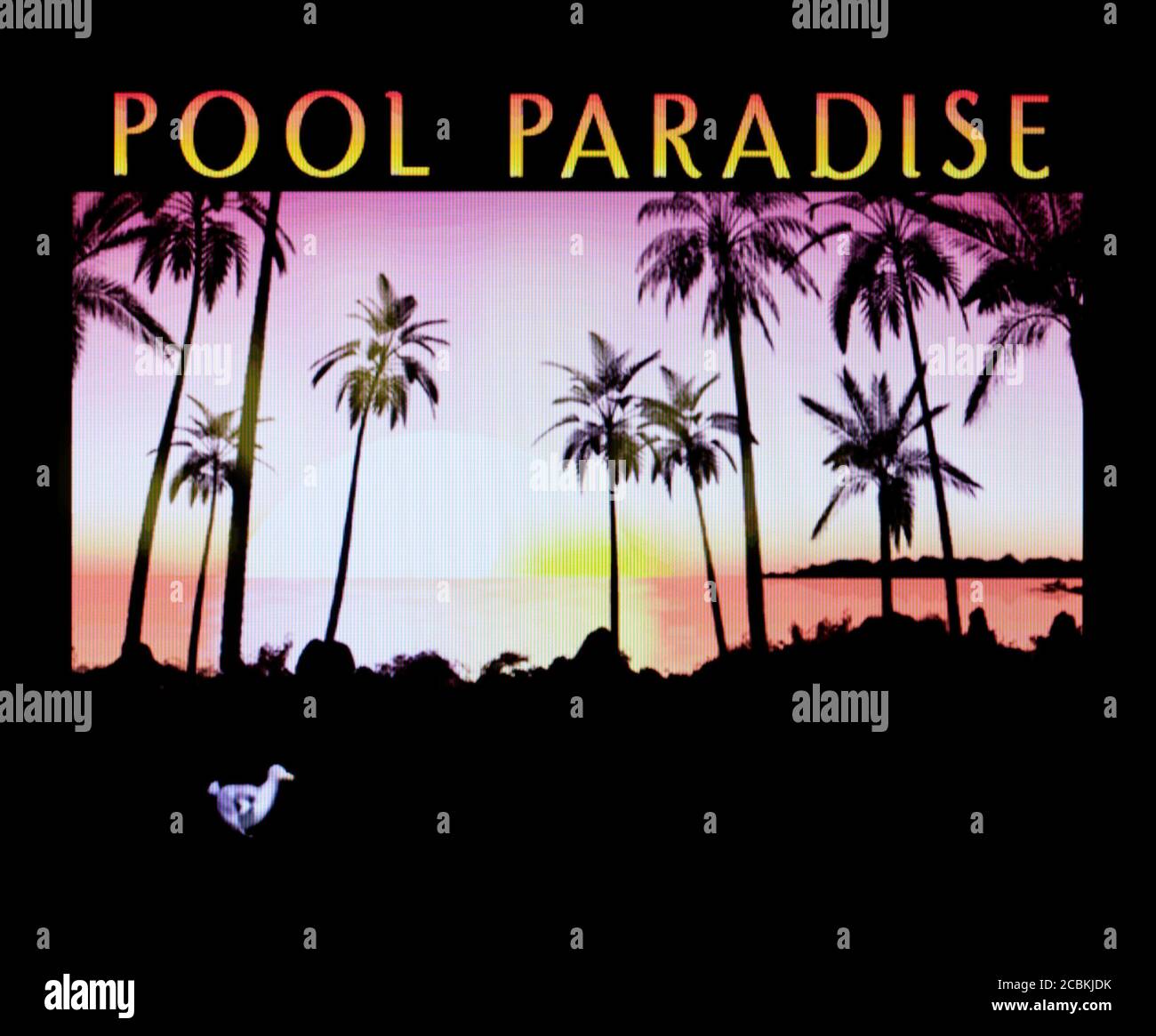 Pool Paradise - Nintendo Gamecube Videogame - Editorial use only Stock ...