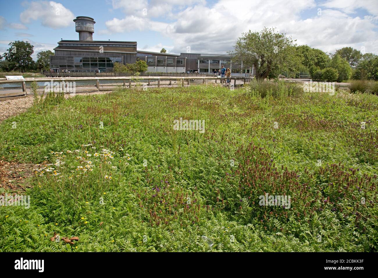 Sloane observation tower hi-res stock photography and images - Alamy