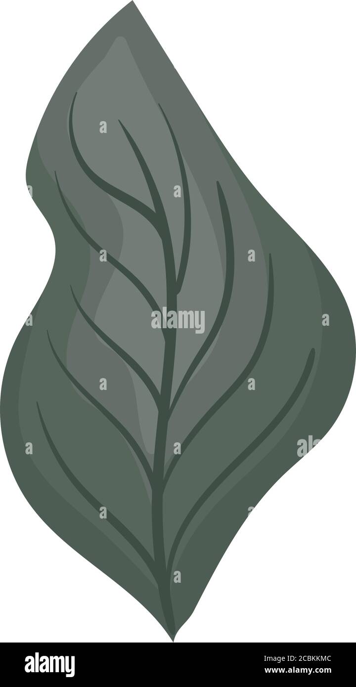 gray leaf painting design of Natural floral nature and plant theme ...