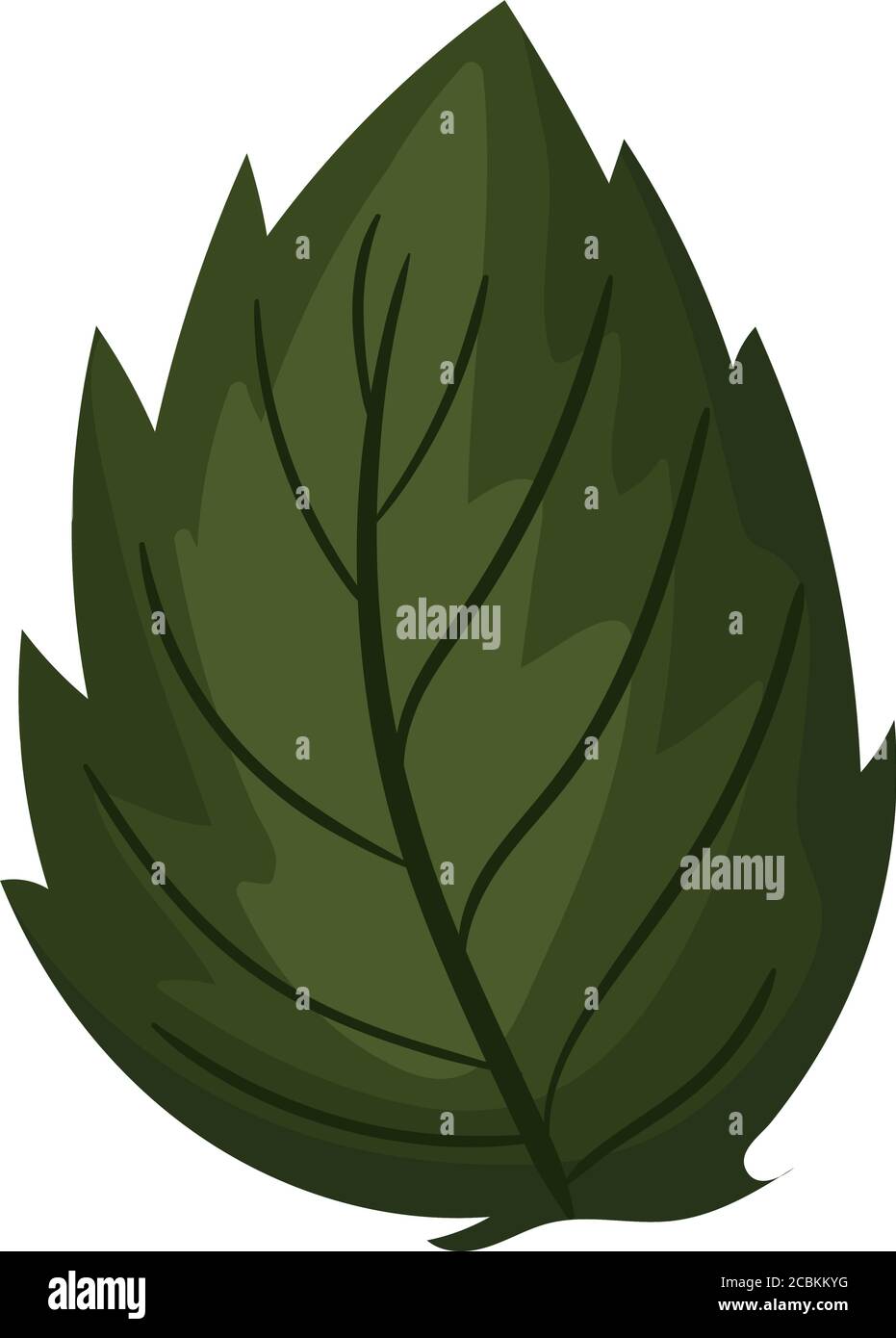 dark green leaf painting design of Natural floral nature and plant ...