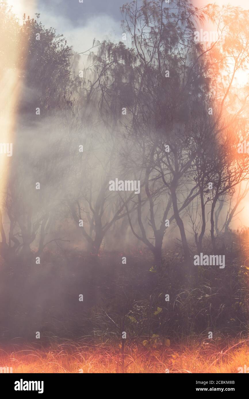 Australia bushfires in summer fire season Stock Photo - Alamy