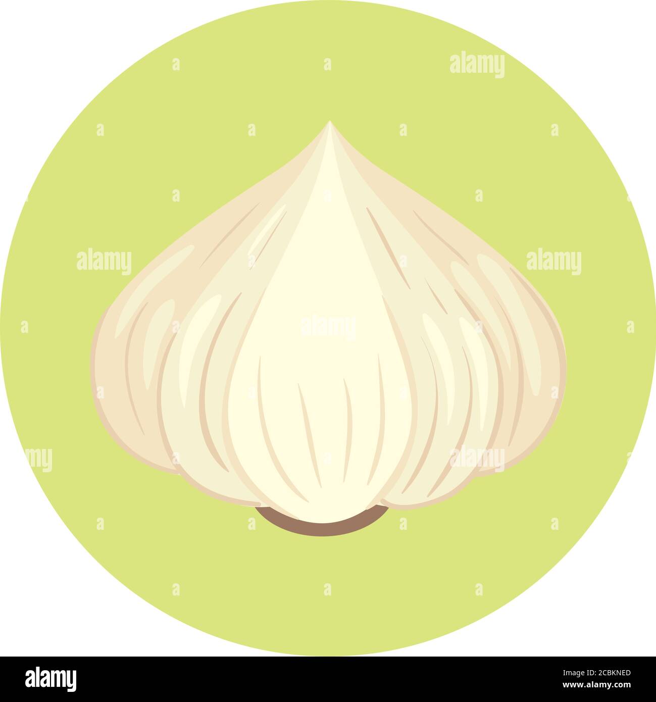 fresh garlic in round frame, on white background Stock Vector Image ...