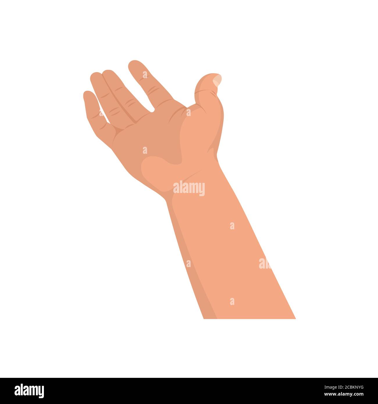 The hand extended forward.Gesture by a hand on the isolated white ...