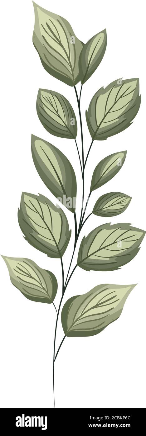 green leaves painting design of Natural floral nature and plant theme ...
