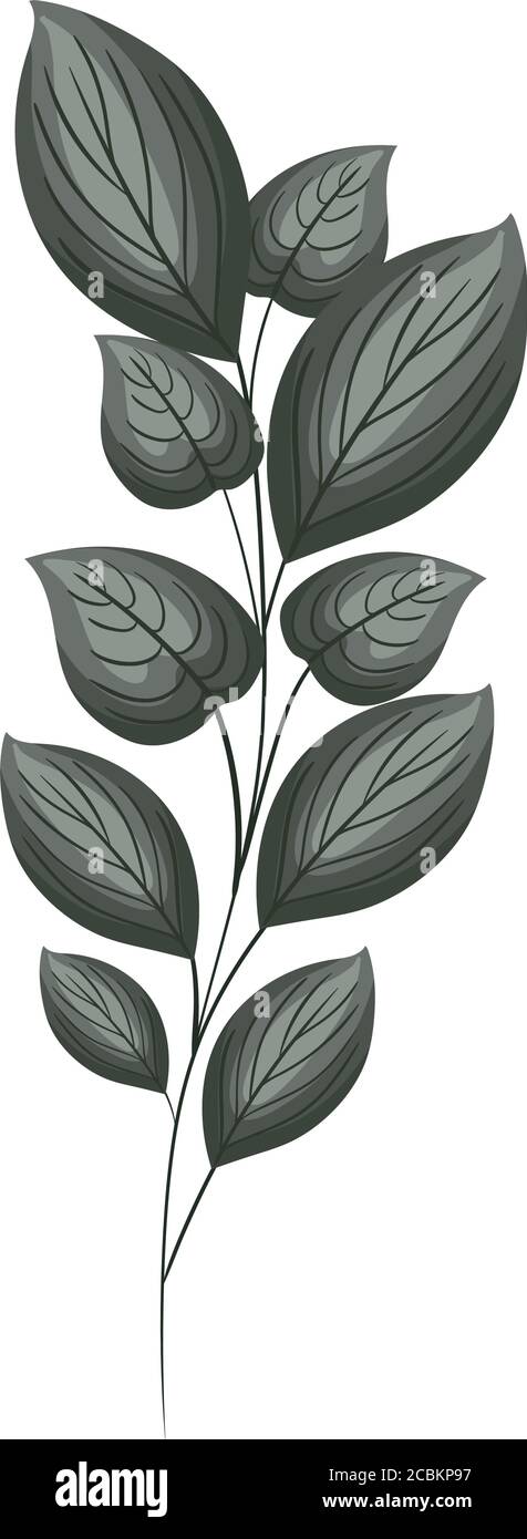 gray leaves painting design of Natural floral nature and plant theme ...