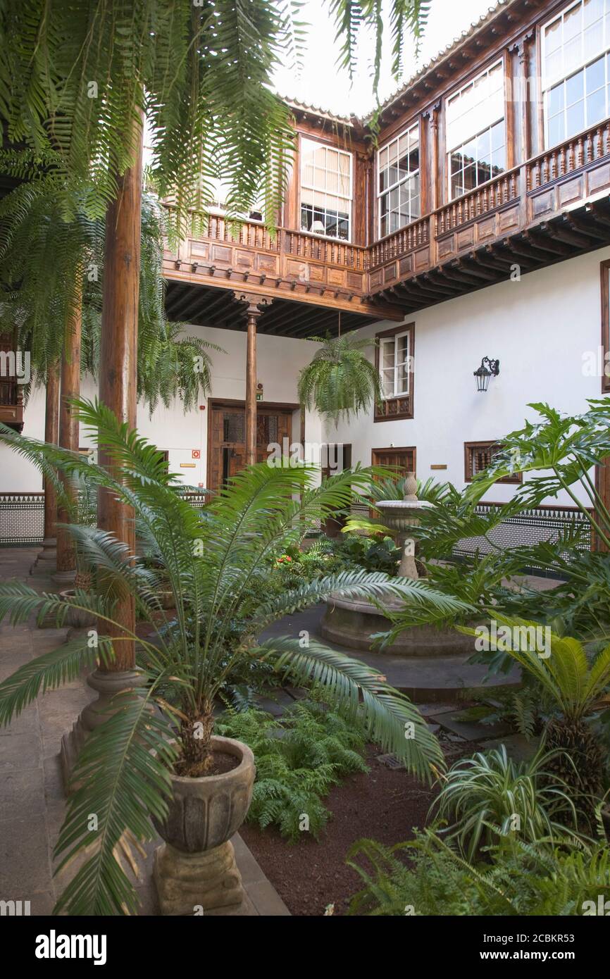 Palm trees and plants in courtyard Stock Photo - Alamy