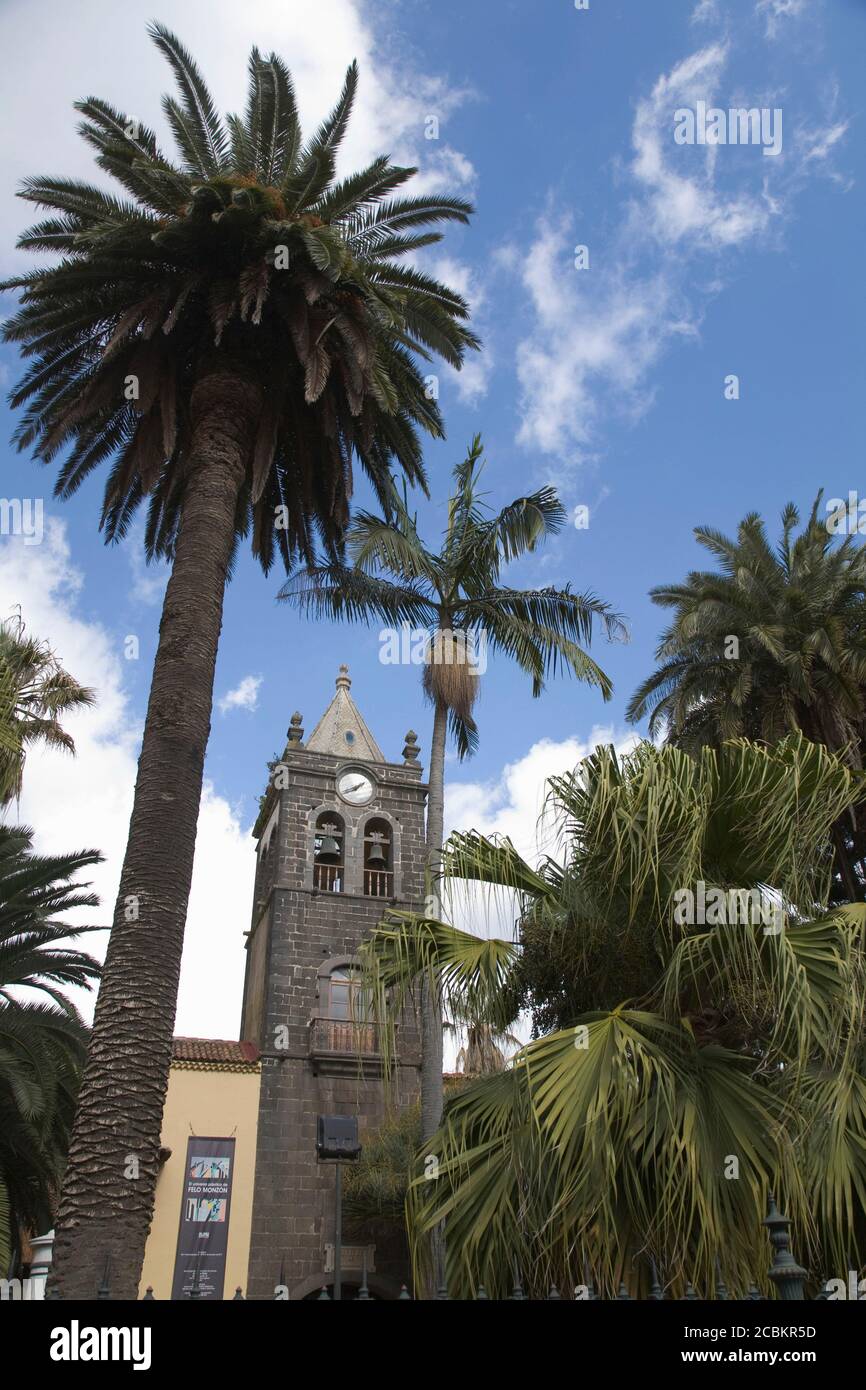 Palm trees and clock tower Stock Photo - Alamy