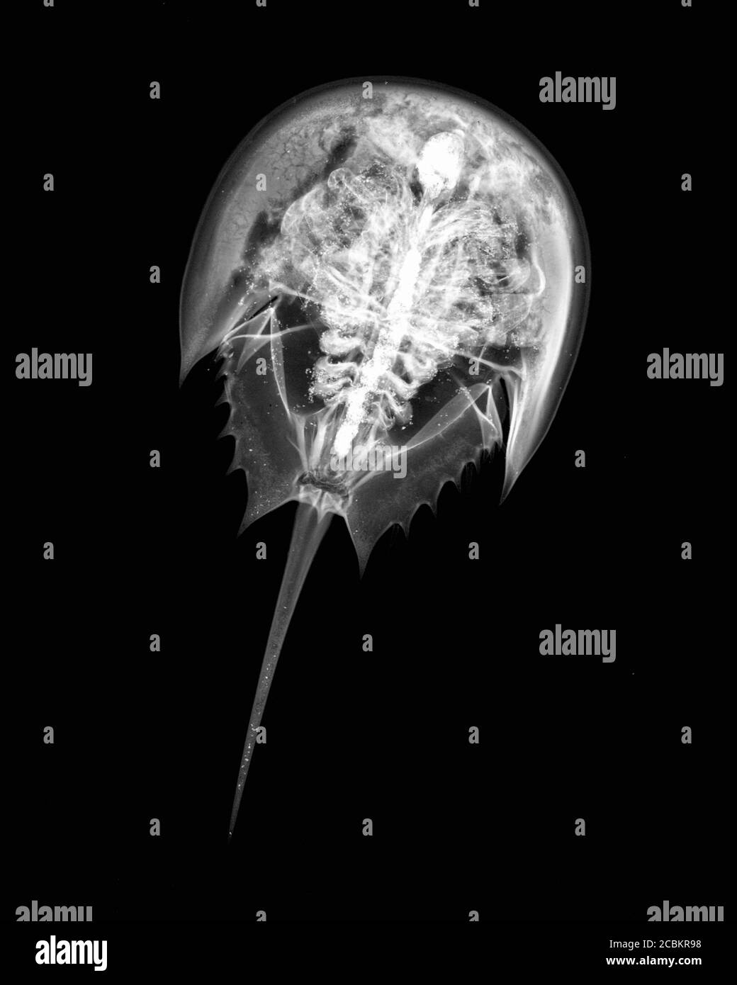 Inverted angle hi-res stock photography and images - Alamy