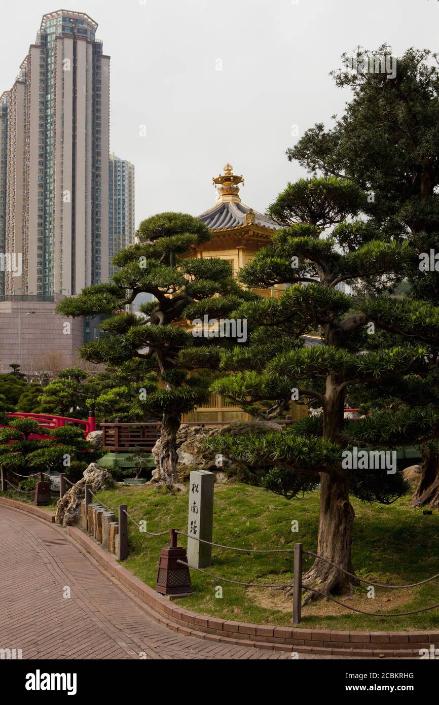 Chi Lin Nunnery, Hong Kong, China Stock Photo - Alamy