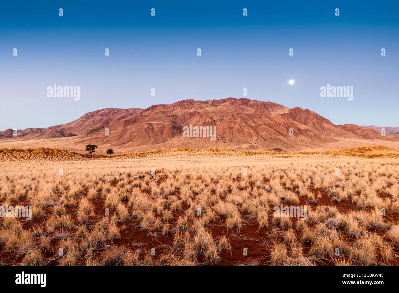 Landscape in Namibrand Nature Reserve , Namibia Stock Photo - Alamy