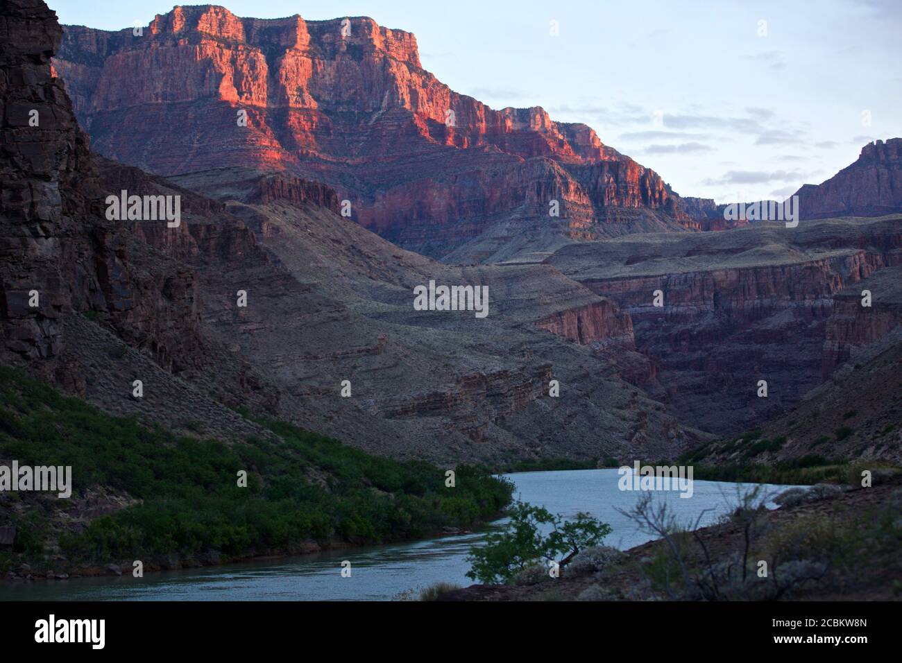 Colorado River, Grand Canyon, Arizona, USA Stock Photo - Alamy