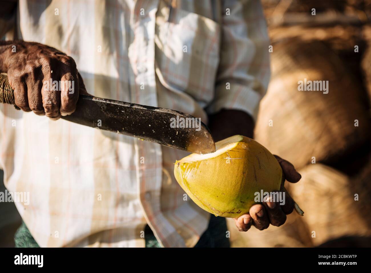 Coconut cutting traditional knife man hi-res stock photography and ...