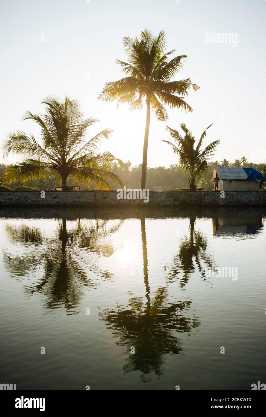 Keralan backwaters, North Paravoor, Kerala, India Stock Photo - Alamy