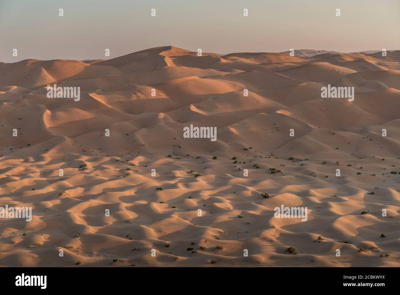 Sand dunes in the Empty Quarter Desert, between Saudi Arabia and Abu ...