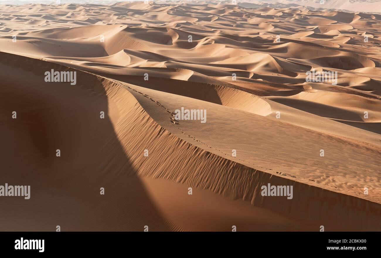 Sand dunes in the Empty Quarter Desert, between Saudi Arabia and Abu ...