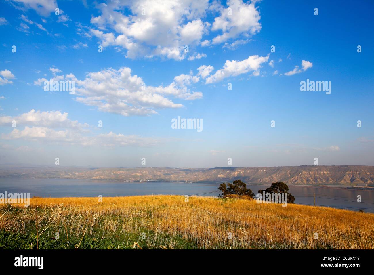 Israel, lower Galilee, Overlooking the sea of Galilee Stock Photo - Alamy