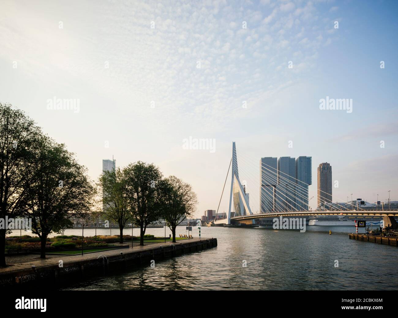 Erasmus Bridge, Rotterdam, Netherlands Stock Photo - Alamy