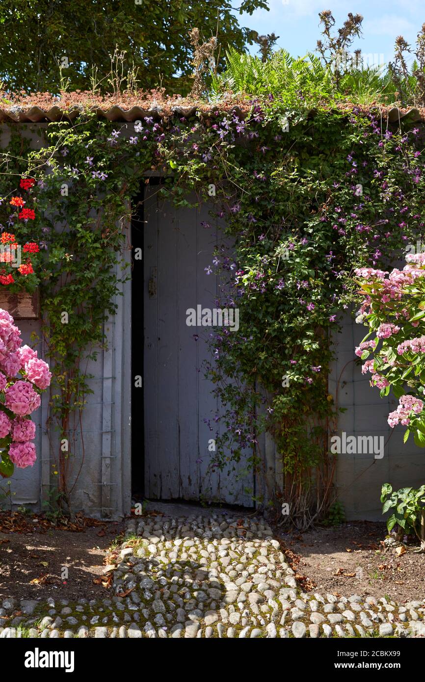 Flower-covered doorway, Shanagarry, Ireland Stock Photo - Alamy