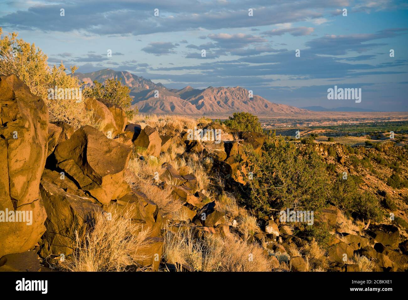 2013 albuquerque hi-res stock photography and images - Alamy