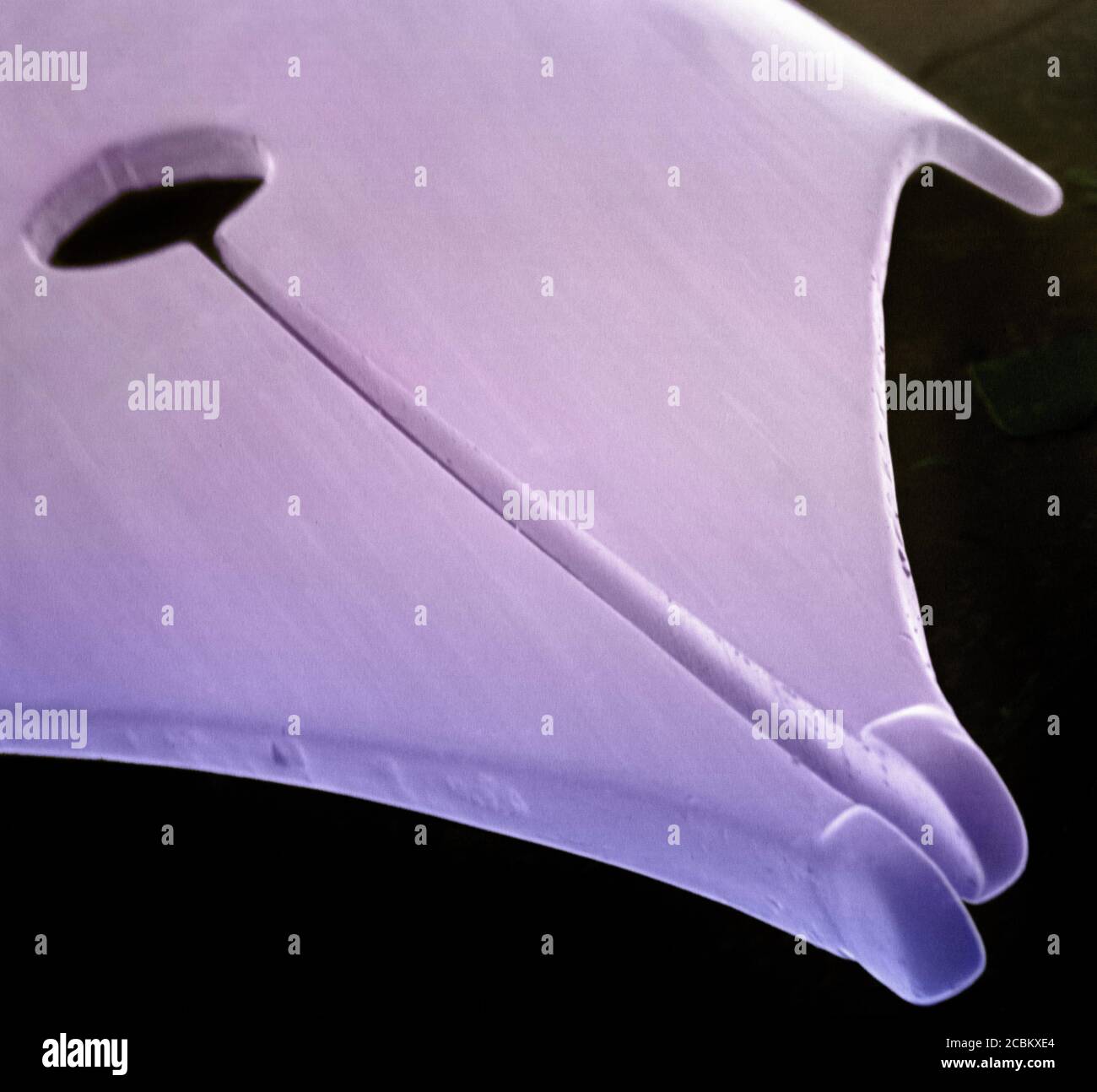 Microscopic view of pen nib Stock Photo - Alamy