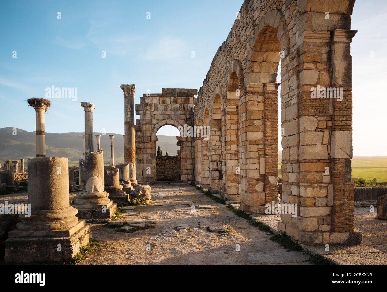 Roman Ruins of Volubilis, Meknes, Morocco, North Africa Stock Photo - Alamy
