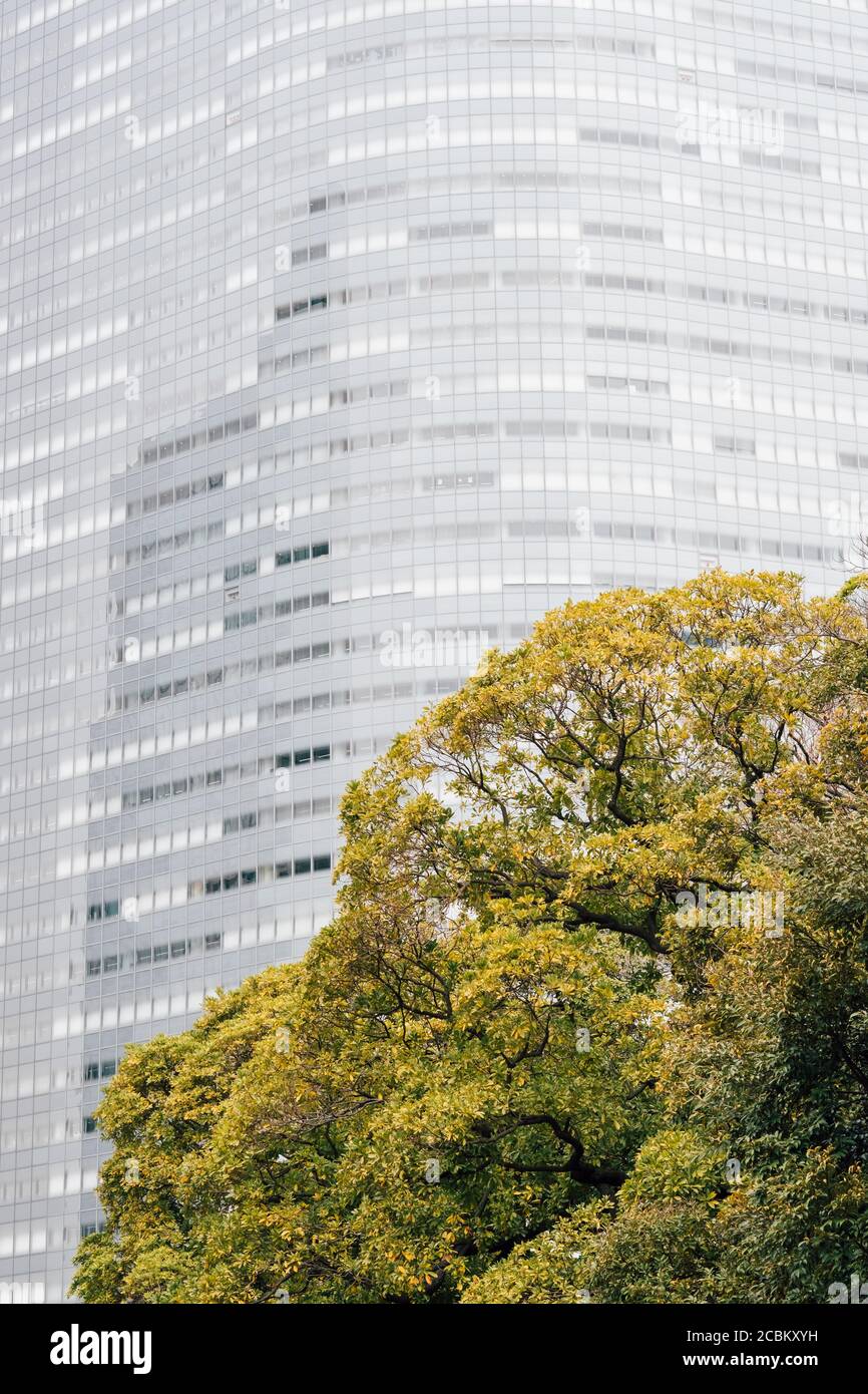 Tokyo buildings focus hi-res stock photography and images - Alamy