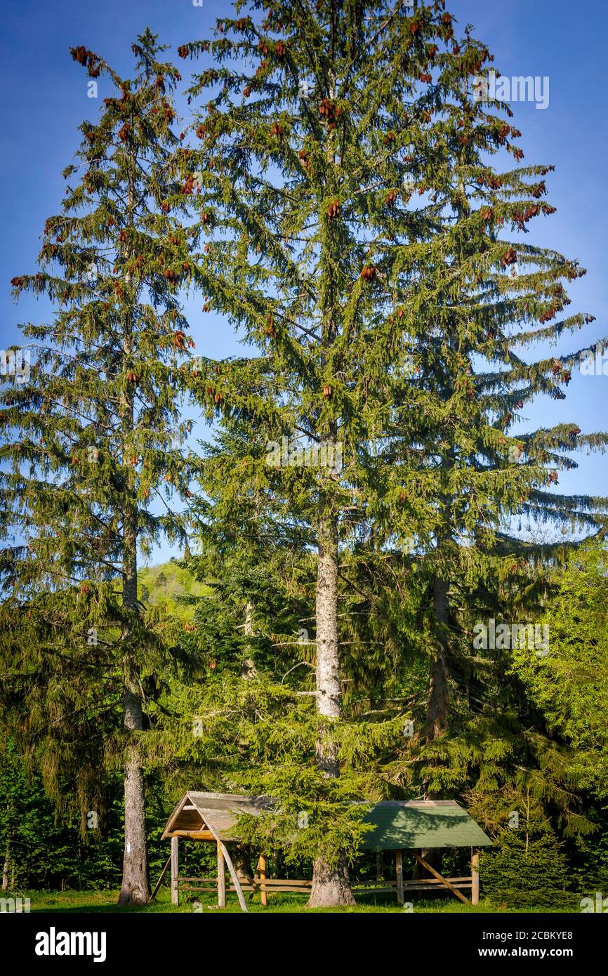 Pecina hi-res stock photography and images - Alamy