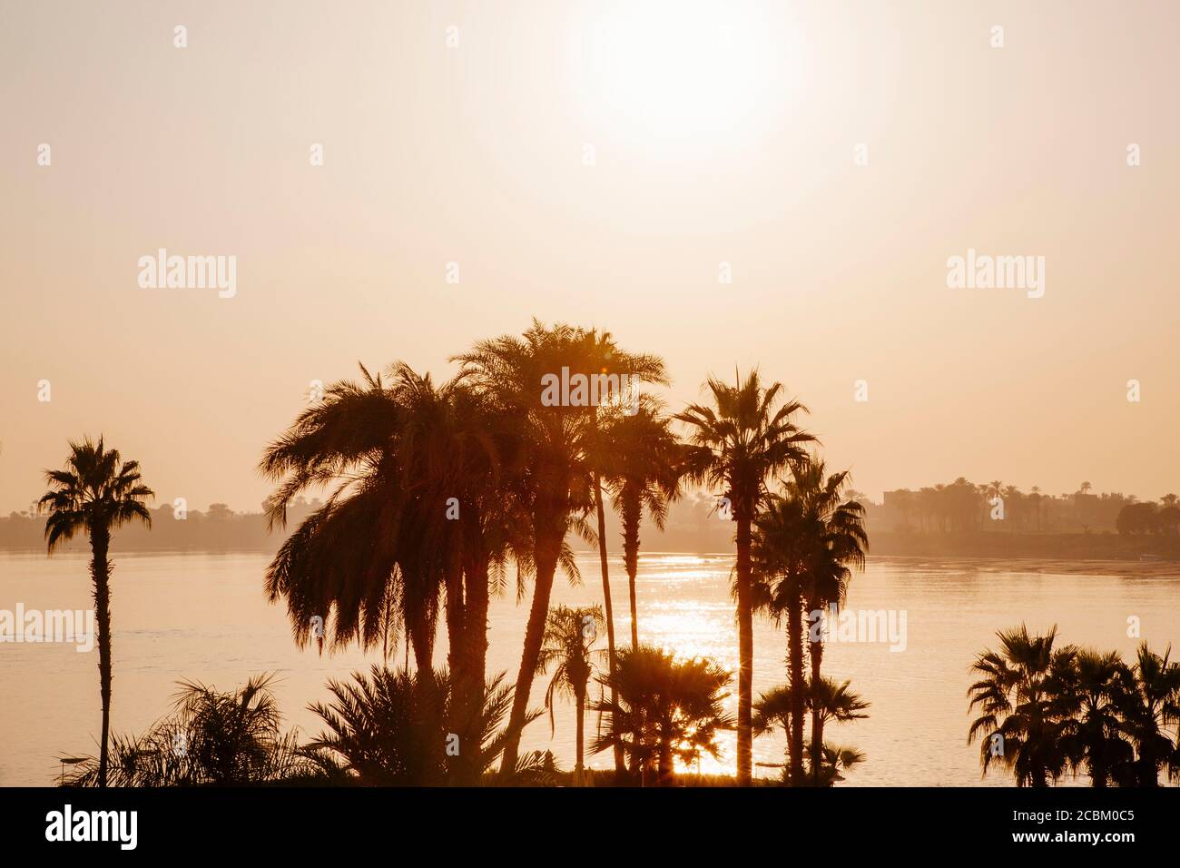 Nile trees hi-res stock photography and images - Alamy
