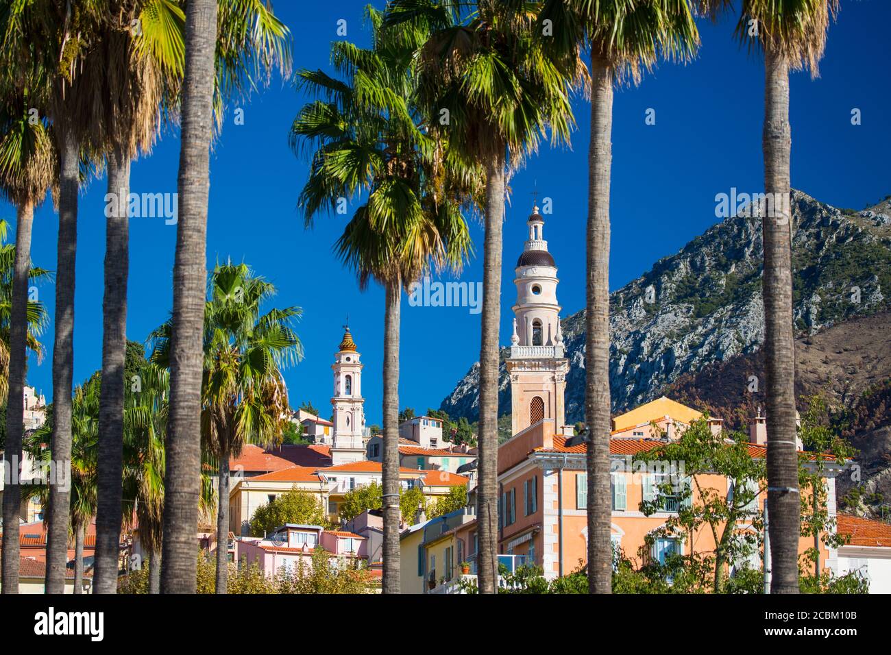 Palm trees and the Basilica of St. Michael the Archangel, Menton ...