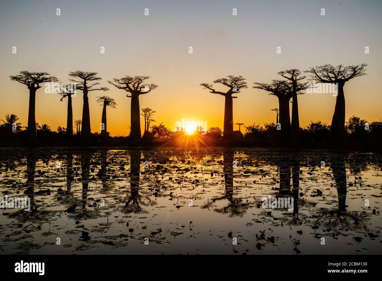 Babab hi-res stock photography and images - Alamy