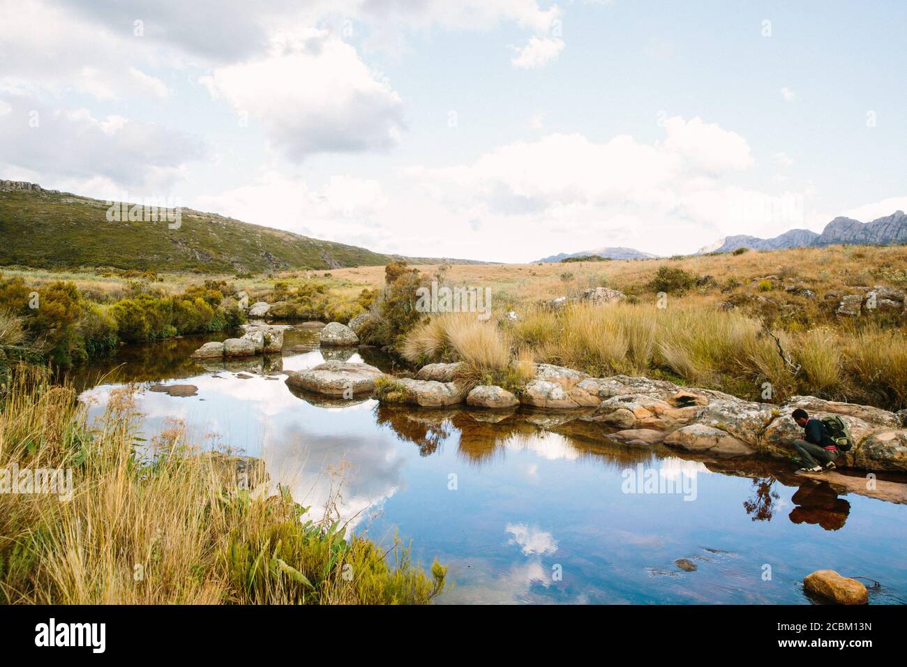 View of river and marsh grass in Andringitra National Park, Madagascar ...