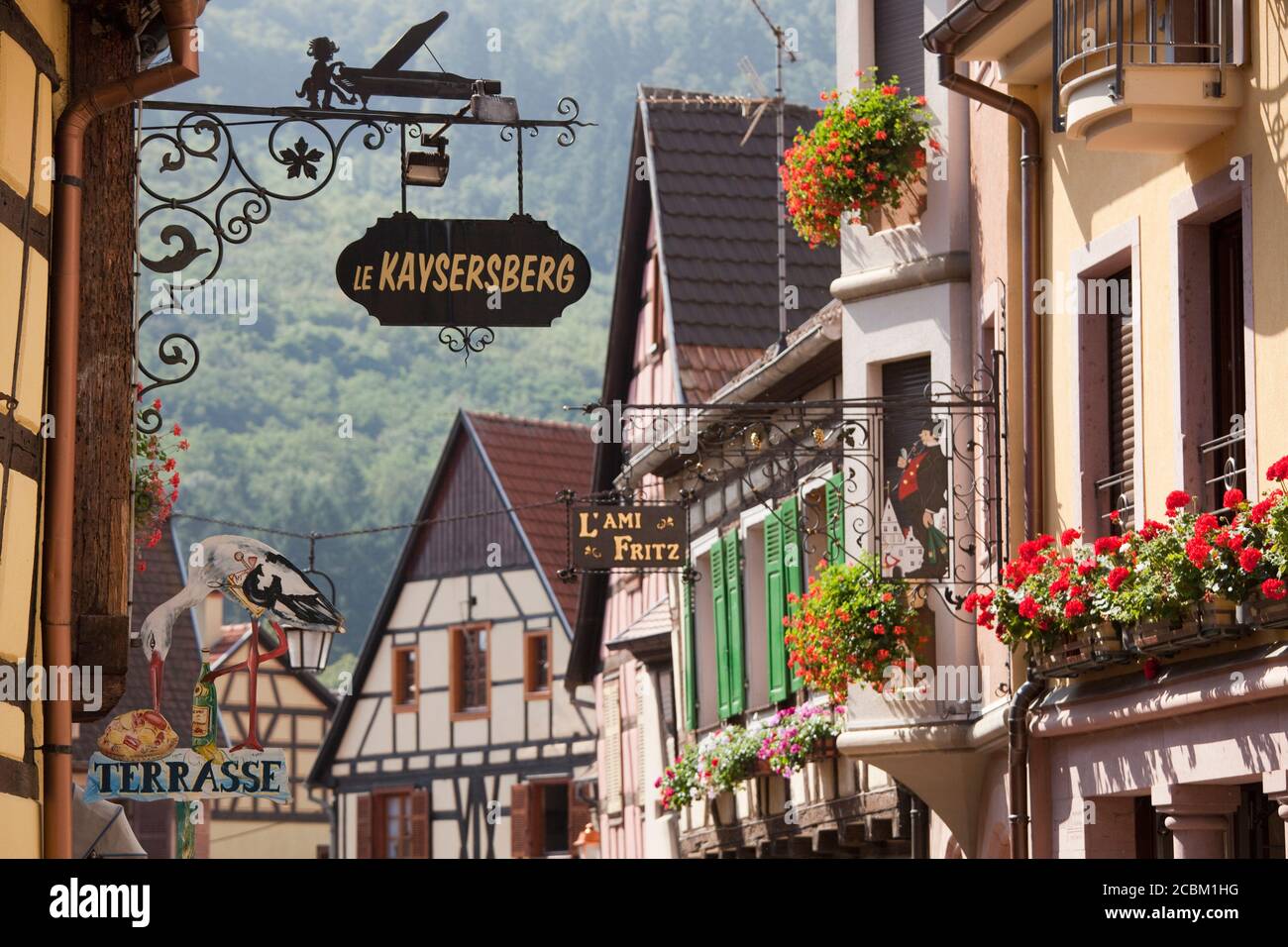 Business signage on medieval buildings, Kaysersberg, Alsace, France ...